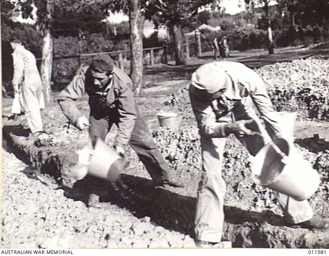 "BAILING OUT" SLIT TRENCHES. (NEGATIVE BY CRANSTONE). | Australian War ...