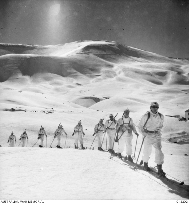 During the recent European winter, specially selected units were formed ...