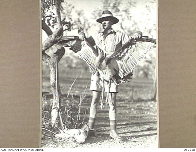 AUSTRALIAN TROOPS AT FORWARD BATTLE STATIONS FIND THAT THE WILD LIFE OF ...