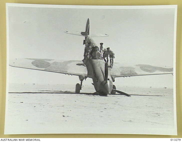 THIS AUSTRALIAN KITTYHAWK TELLS A STORY OF SKILL AND DETERMINATION ON ...