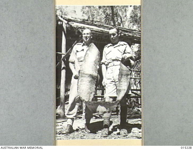 Ninth Division AIF at a camp somewhere in Australia. WX17085 Captain ...