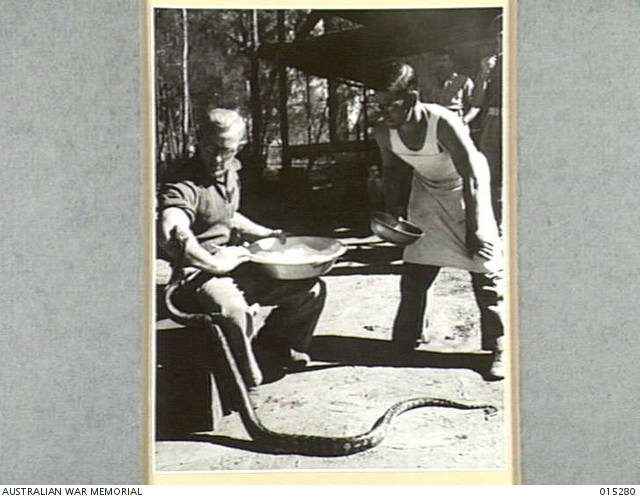 NINTH DIVISION A.I.F. AT A CAMP SOMEWHERE IN THE SOUTH WEST PACIFIC ...