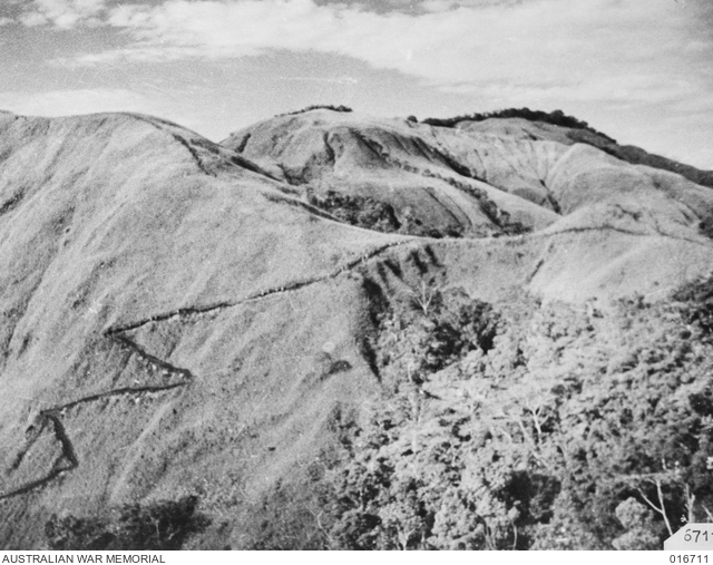 NEW GUINEA. A NATIVE CARRIER TRAIL UP A STEEP MOUNTAIN IN THE ...