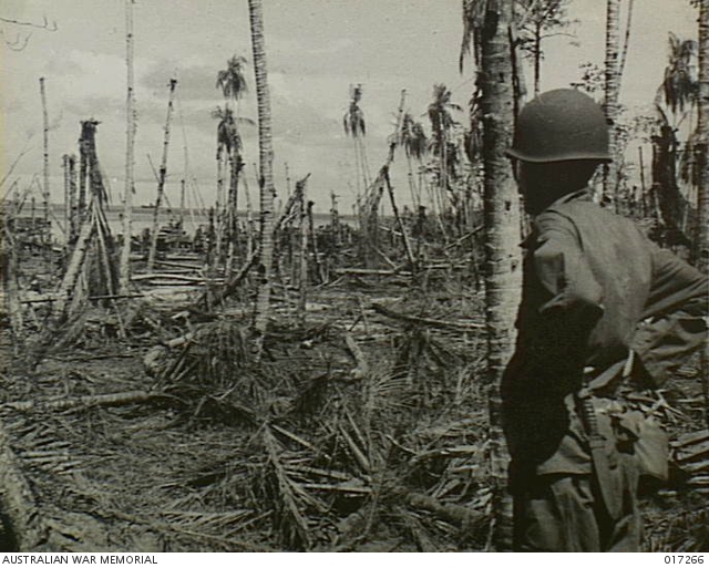 Dutch New Guinea. A US soldier surveys the coconut palm trees, a scene ...