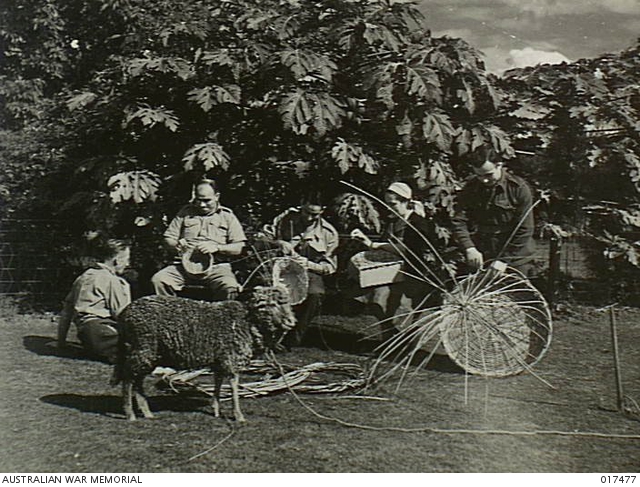 Brisbane, Qld. In the grounds at Chelmer Convalescent Home run entirely ...