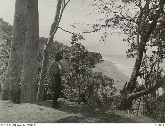 Aitape, New Guinea. Typical type of country the Aussies are fighting in ...