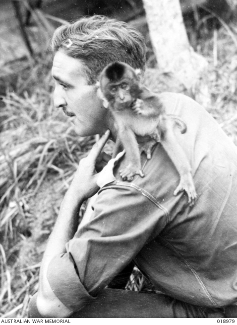 Balikpapan, Borneo. July 1945. Captain L. Hobson of Ballarat, Vic, of ...
