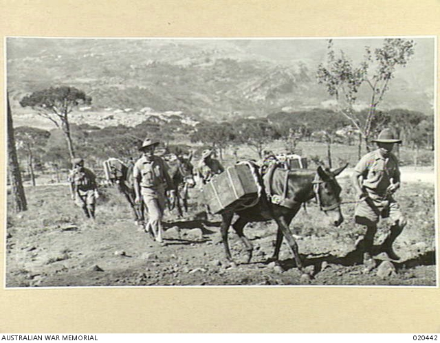 Mule teams were used to cross this type of country in Syria. The teams ...