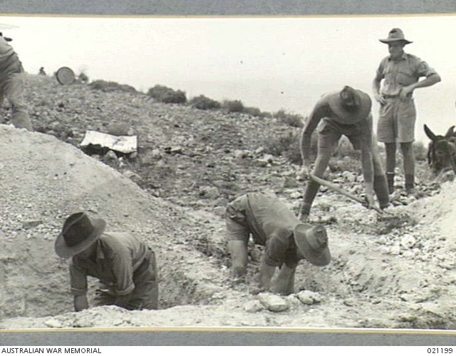 Members of the 2/31st Infantry Battalion constructing pits which formed ...