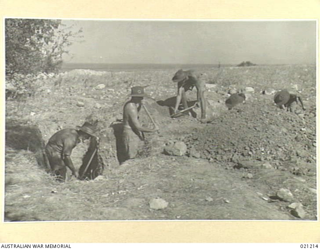 Communication trenches being constructed by the 2/25th Infantry ...