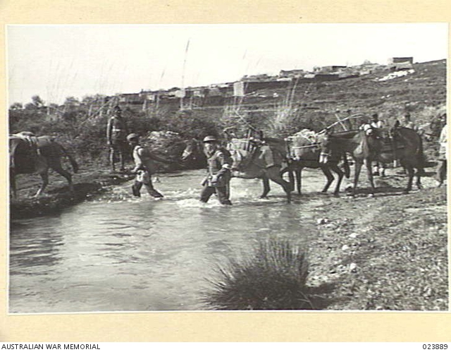 TRIPOLI, SYRIA. 1942-03. A MULE TEAM CROSSING A MOUNTAIN STREAM DURING ...
