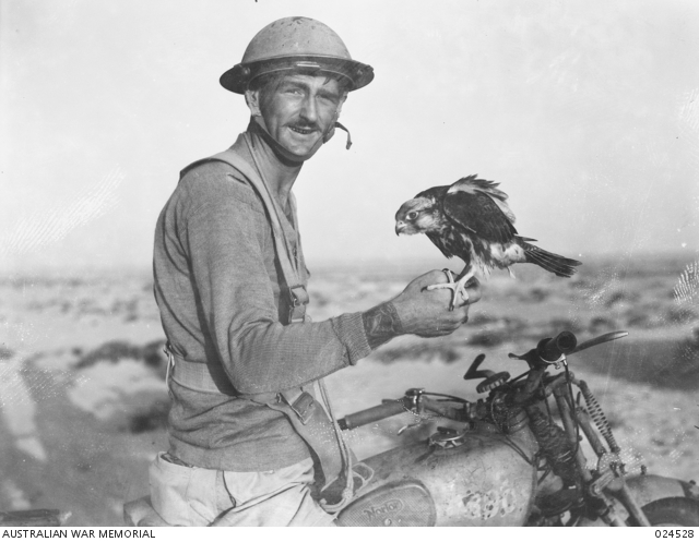 ARAB CIVILIANS EVACUATED FROM THE FORWARD AREA NEAR EL ALAMEIN LEFT ...