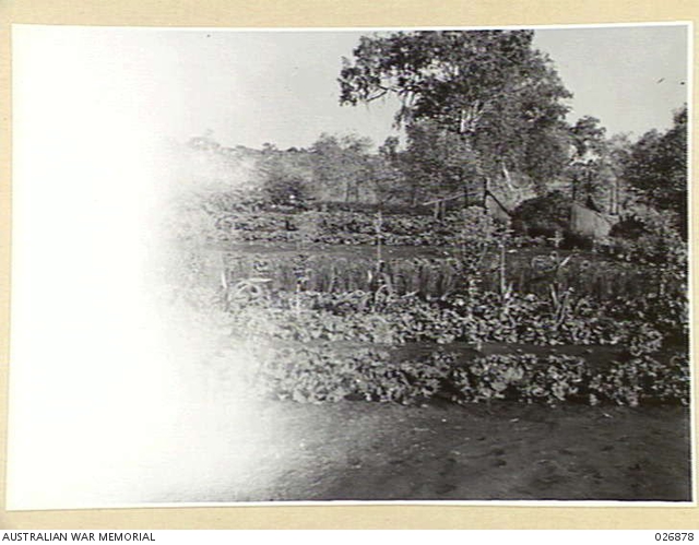 NORTHERN TERRITORY, AUSTRALIA. 1942-10-04. GENERAL VIEW OF THE NURSERY ...