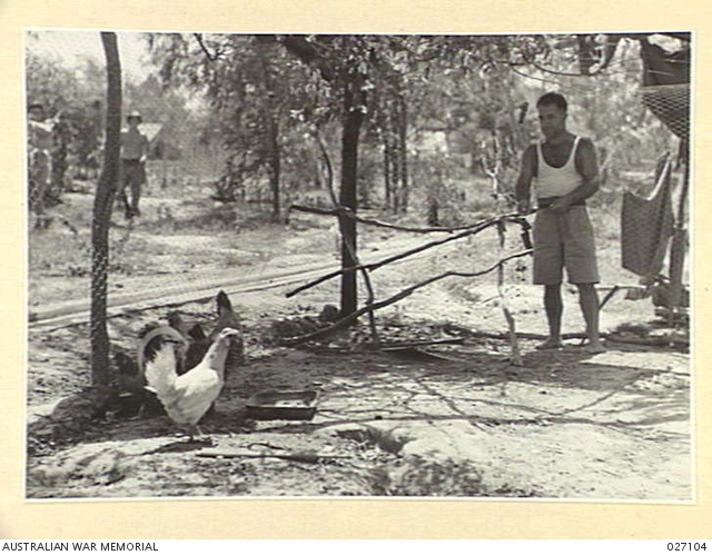 ADELAIDE RIVER, NT. 1942-10-08. PRIVATE TOFFI, A NATURALIZED ITALIAN ...