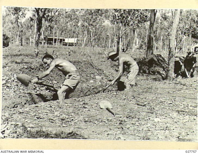 NORTHERN TERRITORY. 1942-11-04. MEMBERS OF THE 6TH AUSTRALIAN ...