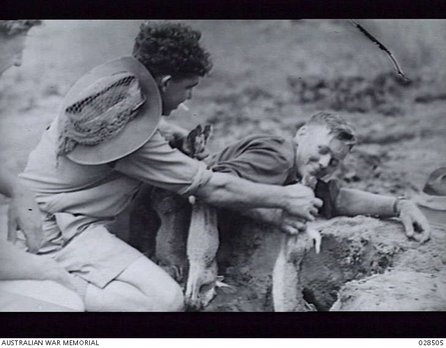 SINGLETON, NSW, AUSTRALIA, 1943-01. TROOPS COME TO THEIR QUARRY AFTER ...