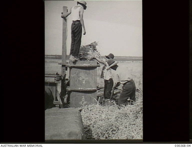 Barmera, SA. January 1944. Japanese internees at the Loveday Internment ...