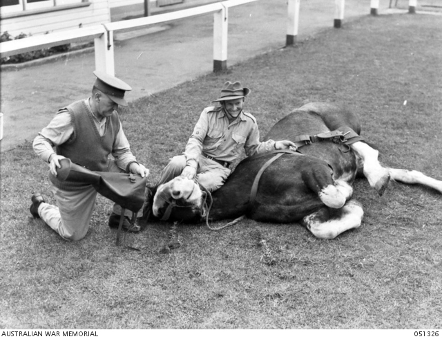 MARIBYRNONG, VICTORIA, 1943-04. PREPARING TO CHLOROFORM A PATIENT FOR ...