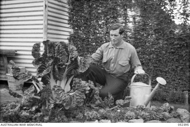 Internee N1108 H. Kurth, an experimental gardener, proudly displays a ...