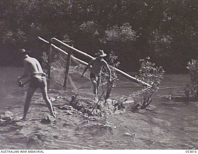 BERRY SPRINGS, NT. 1943-07-14. TROOPS OF THE 18TH AUSTRALIAN PERSONNEL ...