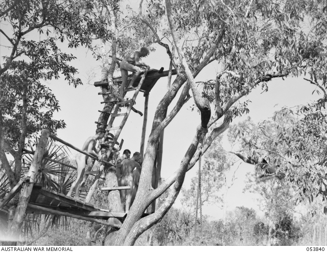 BERRY SPRINGS, NT. 1943-07-14. HIGH DIVING TOWER AT THE SWIMMING POOL ...
