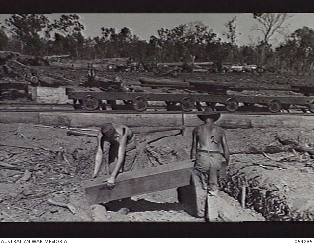 BLACK JUNGLE, NT, 1943-07-23. SAPPER MANHIRE (LEFT) AND SAPPER PARR ...