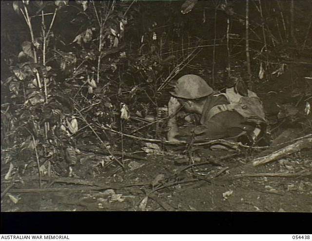 Tully Falls, Qld. 1943-07-19. A soldier from 2/2nd Australian Pioneer ...