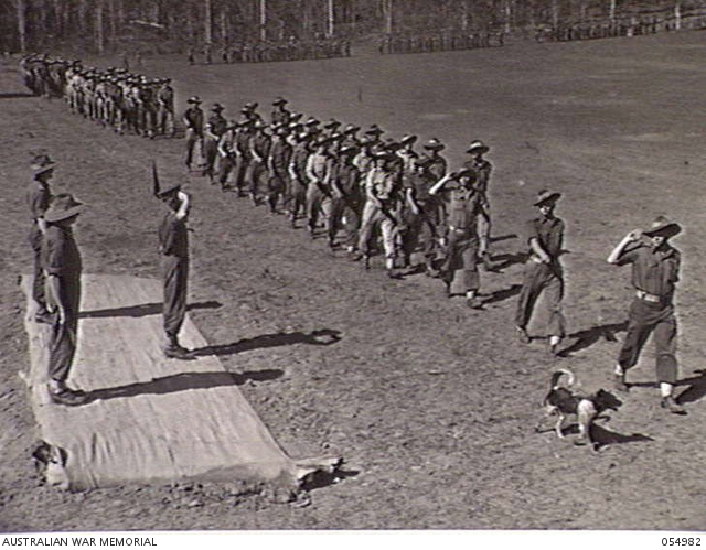 KAIRI, QLD. 1943-07-31. SX10751 LIEUTENANT R. WILLIAMS LEADS NO. 8 ...