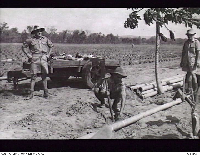 ADELAIDE RIVER, NT. 1943-08-03. MEMBERS OF THE 1ST AUSTRALIAN FARM ...