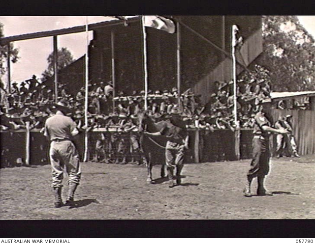 WONDECLA, QLD. 1943-10-02. THE 6TH AUSTRALIAN DIVISION CONDUCTED A RACE ...