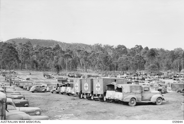 BRISBANE, QLD. 1943-11-05. GENERAL VIEW OF SOME OF THE VEHICLES LINED ...