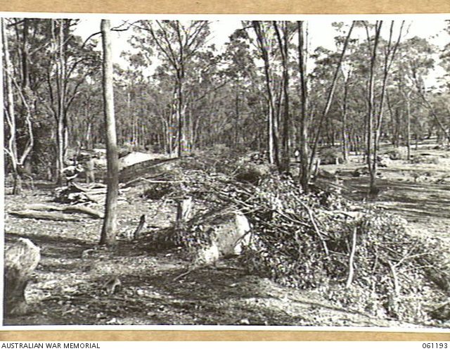 GRAYTOWN, VIC. 1943-12-01. TEMPORARY SHELTERS MADE BY GERMAN PRISONERS ...