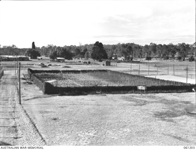 GRAYTOWN, VIC. 1943-12-01. VIEW OF THE SMALL MARKET GARDEN AT THE 13TH ...