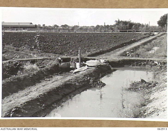 HAY, NSW. 1944-01-13/14. A SECTION OF THE VEGETABLE GARDENS AND ...
