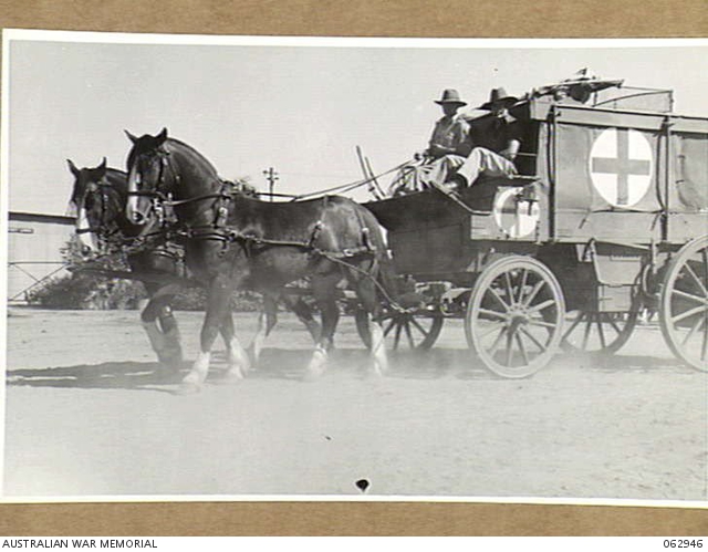 HAY, NSW. 1944-01-13/14. HORSE DRAWN AMBULANCE ON PARADE AT THE 16TH ...