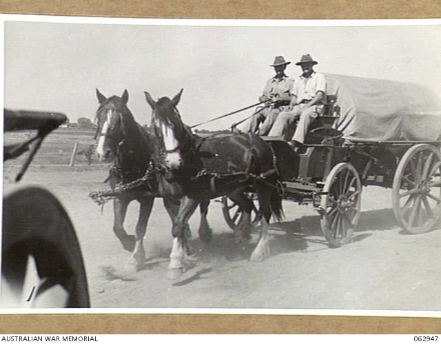 HAY, NSW. 1944-01-13/14. A COVERED WAGON ON PARADE AT THE 16TH GARRISON ...