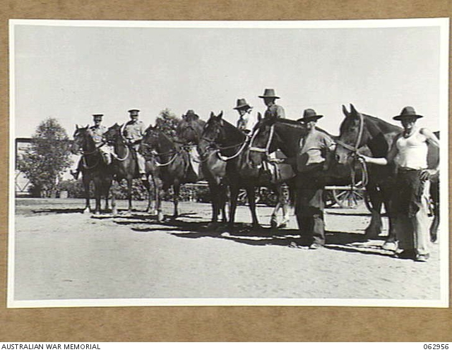 HAY, NSW. 1944-01-13/14. HORSE PARADE AT THE 16TH GARRISON BATTALION ...