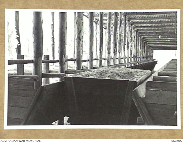 HAY, NSW. 1944-01-17. FEEDING STALLS AT THE DAIRY FARM OF THE 16TH ...