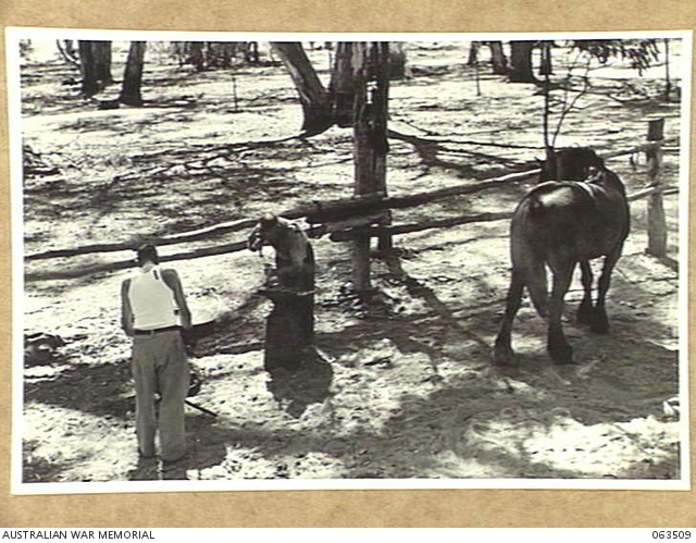 RILEY'S BEND (FORMERLY TOOGIMBIE), HAY AREA, NSW. 1944-01-17. N4403 ...