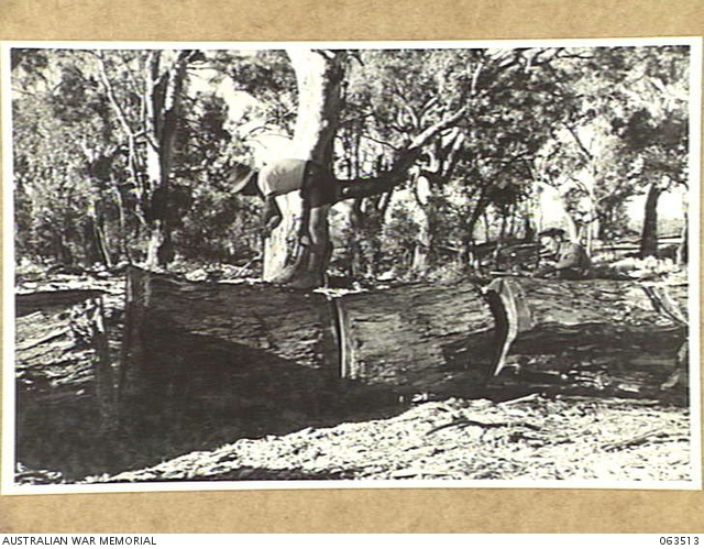 RILEY'S BEND, HAY AREA, NSW. 1944-01-18. ITALIAN PRISONERS OF WAR (POWS ...