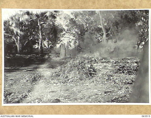 RILEY'S BEND, HAY AREA, NSW. 1944-01-18. LOGS BEING SPLIT BY CHARGES OF ...
