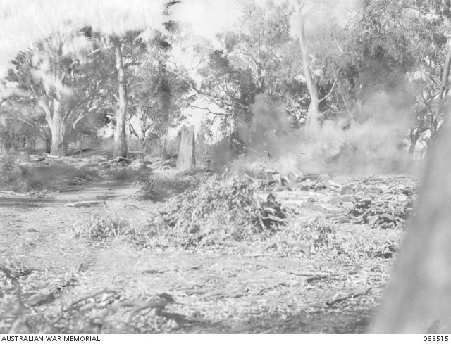 RILEY'S BEND, HAY AREA, NSW. 1944-01-18. LOGS BEING SPLIT BY CHARGES OF ...