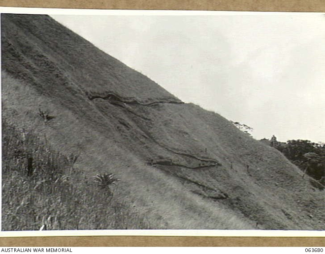 SHAGGY RIDGE AREA, NEW GUINEA. 1944-01-10. NATIVE CARRIERS MOVING DOWN ...