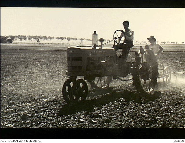 Yanco, NSW. 1944-01-29. Italian prisoners of war (POW) from No. 15 POW ...