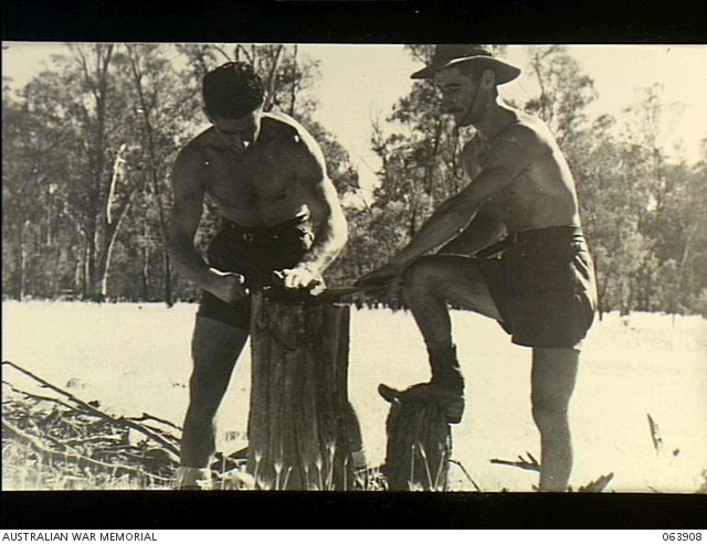 Yanco, NSW. 1944-01-31. Italian prisoners of war (POWs) from No. 15 POW ...