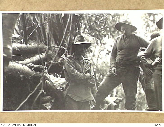 SHAGGY RIDGE, NEW GUINEA. 1944-01-22. MEMBERS OF "A" COMPANY, 2/12TH ...