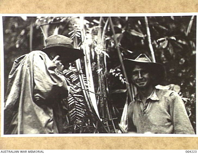 SHAGGY RIDGE, NEW GUINEA. 1944-01-22. QX6040 CAPTAIN A.G. SUTHERS AND ...
