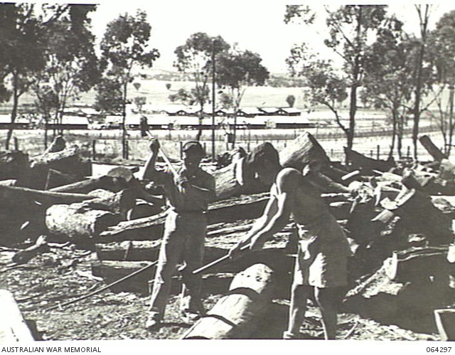 COWRA, NSW. 1944-02-04. ITALIAN PRISONERS OF WAR CAMP SPLITTING LARGE ...