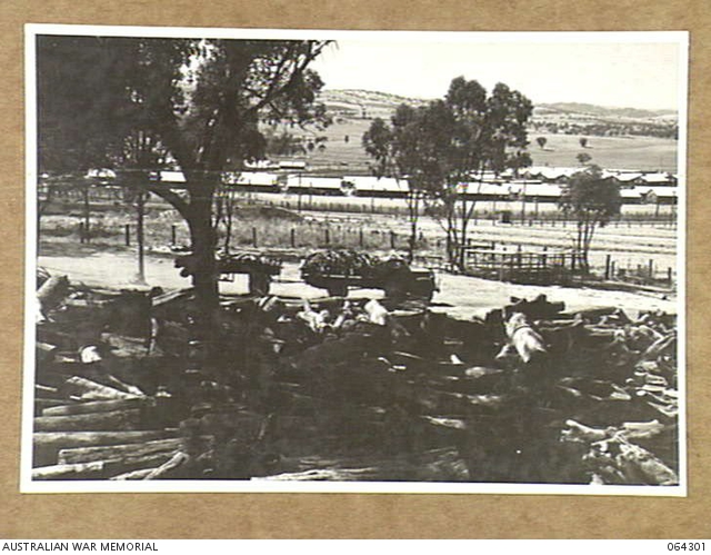 COWRA, NSW. 1944-02-04. LOG STACKS OF THE 12TH AUSTRALIAN PRISONER OF ...