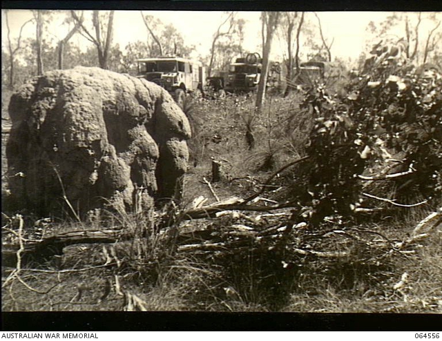 KAIRI, QUEENSLAND, AUSTRALIA. 1944-02-26. TRUCK AND GUN OF THE 2/7TH ...